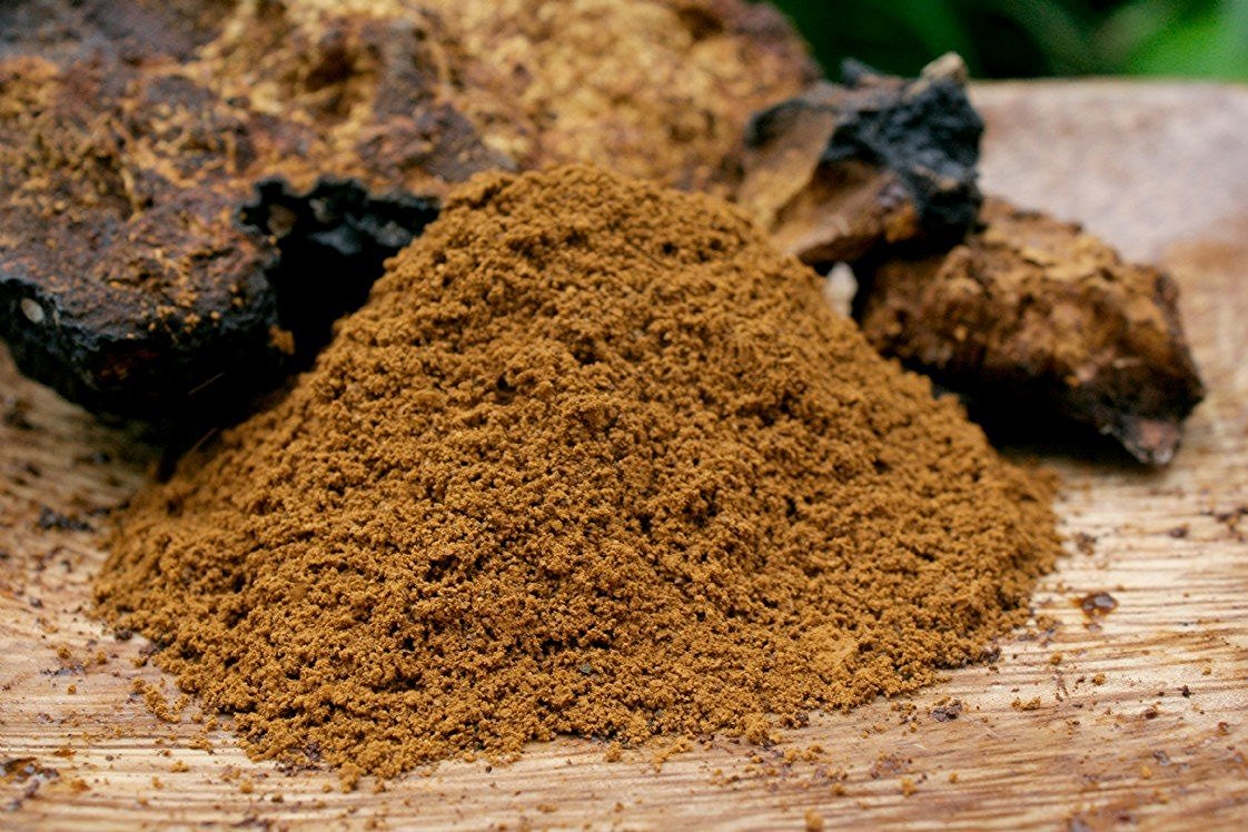 Chaga Pulver Risiken und Fakten die jeder kennen sollte
